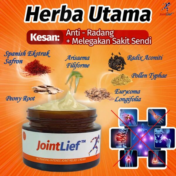 REVIEW & FEEDBACKPENGGUNA